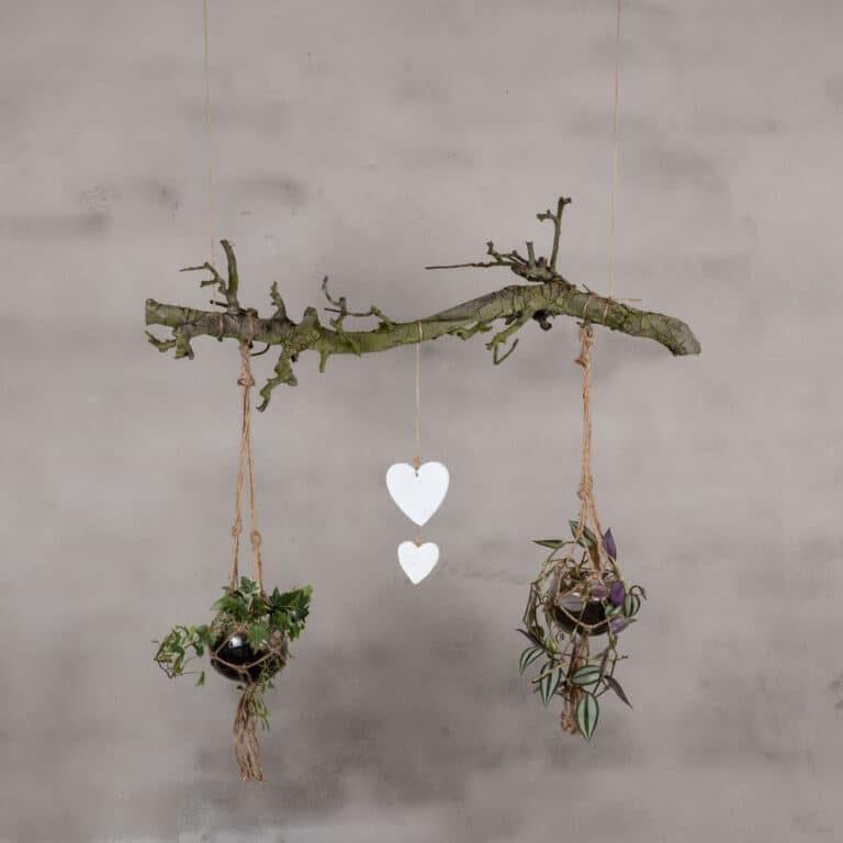 Deko-Ast zum Aufhängen kaufen | Unterschiedliche Holzsorten