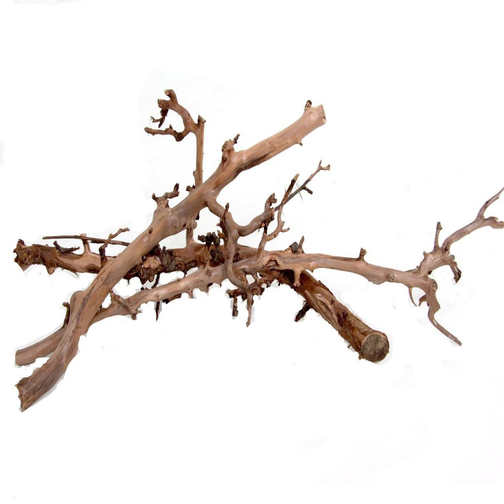 Deko-Zweige | diverse Längen & Stärken | Zweigedeko.de